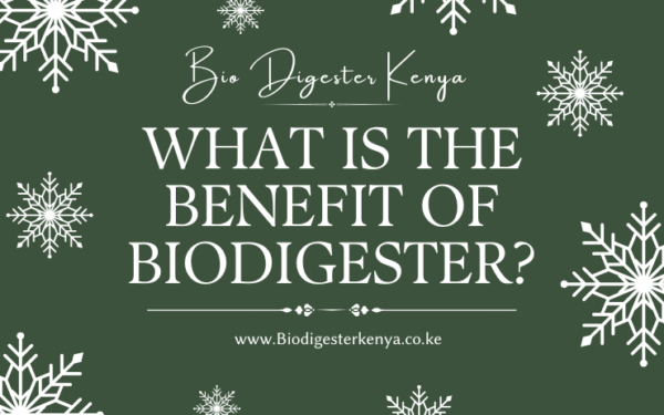 What is a Biodigester - Biodigester Kenya